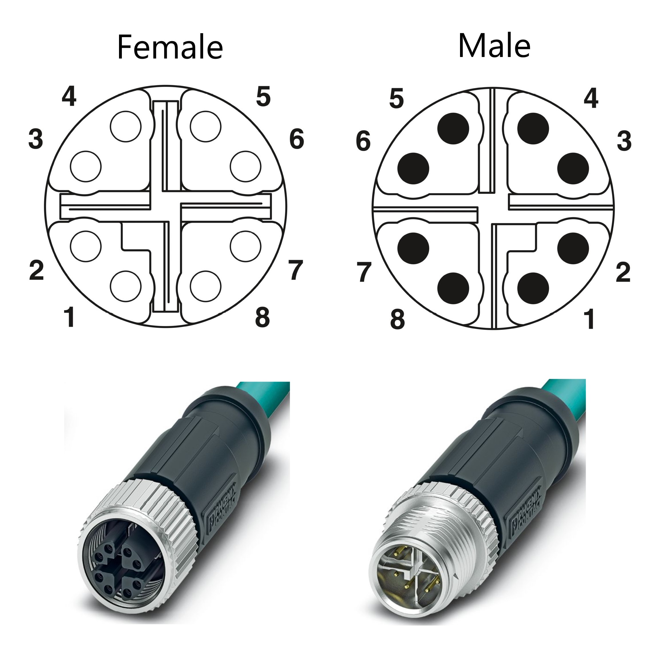 M12 Connectors and their coding types – Design of Machinery and Automation
